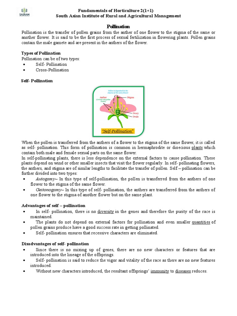 Pollination | PDF | Pollination | Flowers