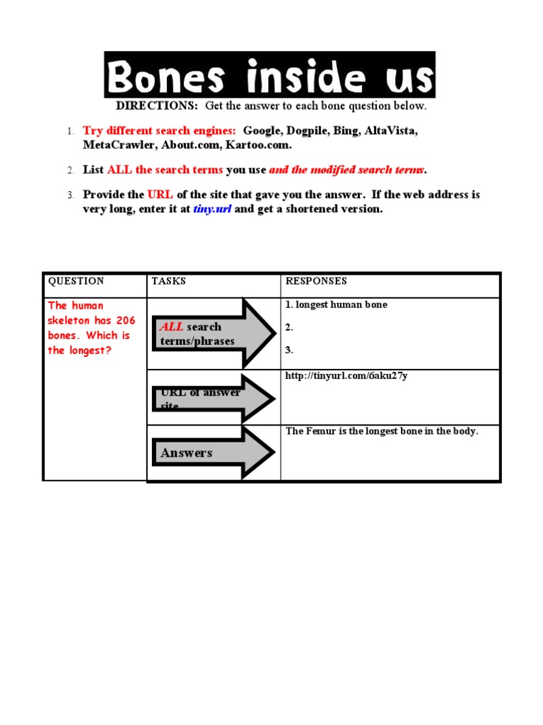 Bones Research - 6TH | PDF | Bone | Skeletal System