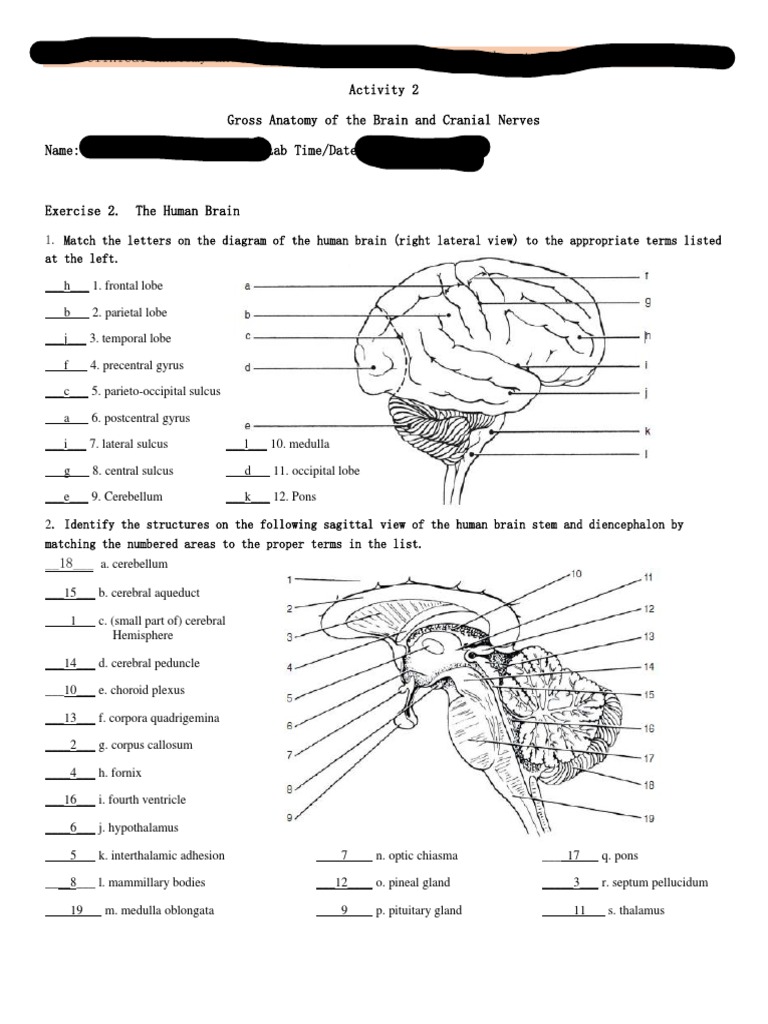 MT13 Clinical Anatomy and Physiology For Med Lab Science Laboratory ...