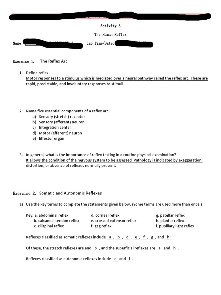 Human Reflexes in Clinical Anatomy Lab | PDF | Autonomic Nervous System ...