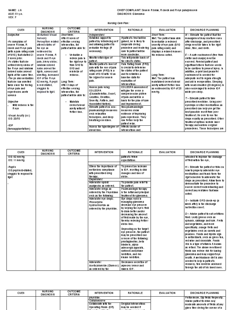 Disturbed Visual Sensory Perception Related: Nursing Care Plan | PDF