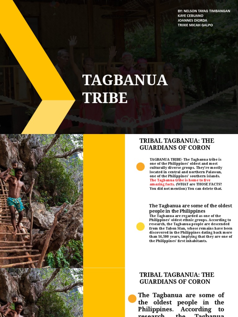 Tagbanua Tribe: By: Nelson Tayag Timbangan Kaye Cebuano Joannes Diorda ...