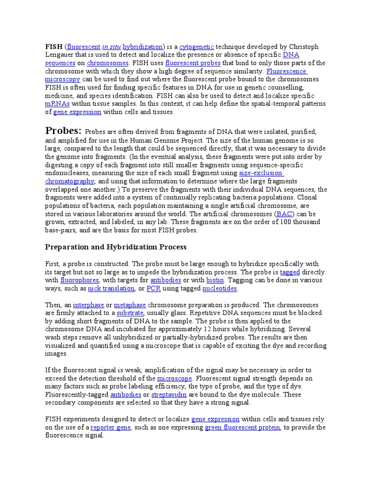 FISH Method of Chromosome Preparation | PDF | Fluorescence In Situ ...