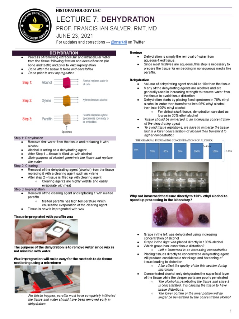 Histopathology: Tissue Dehydration Process | PDF