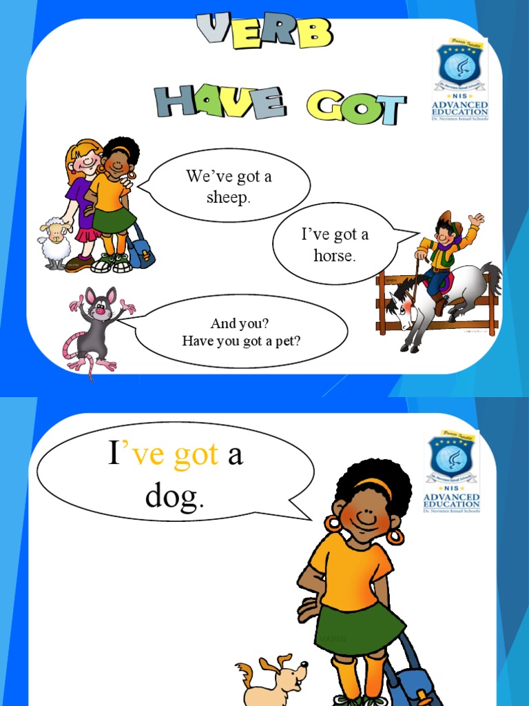 Have - Has Got (Negative) | PDF