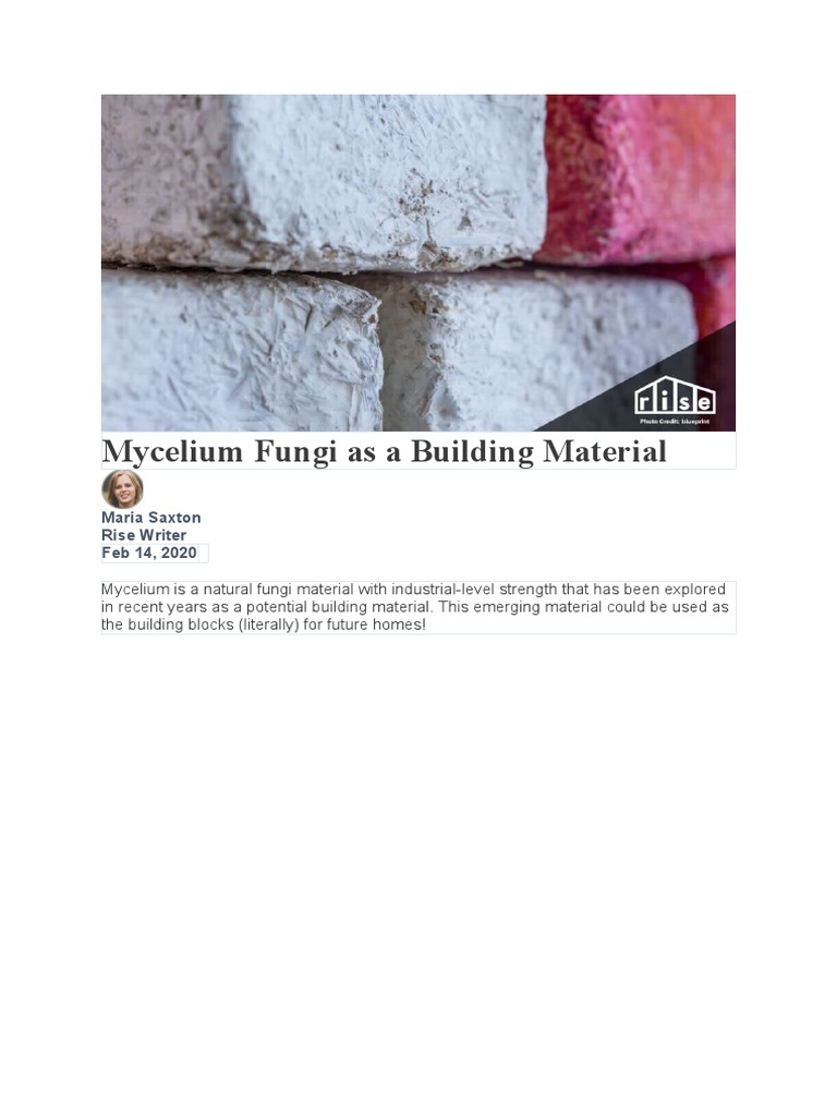 Mycelium Fungi as a Building Material: Nature's Alternative to Concrete ...