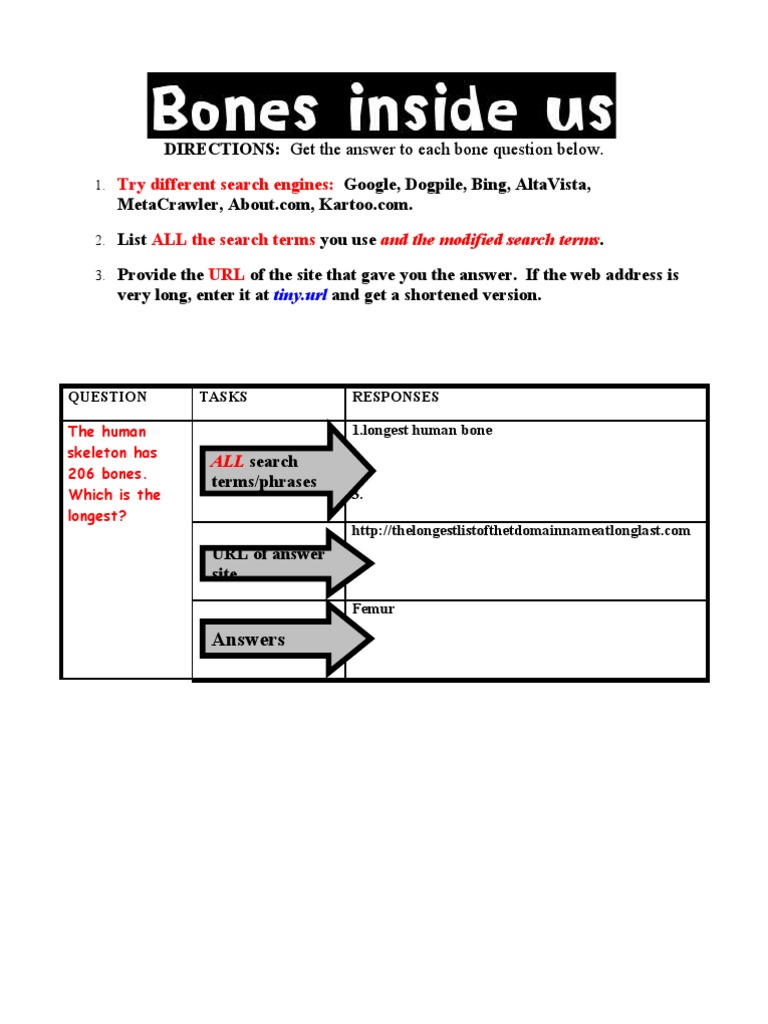 Bones Research - 6th | PDF | Language Arts & Discipline | Foreign ...