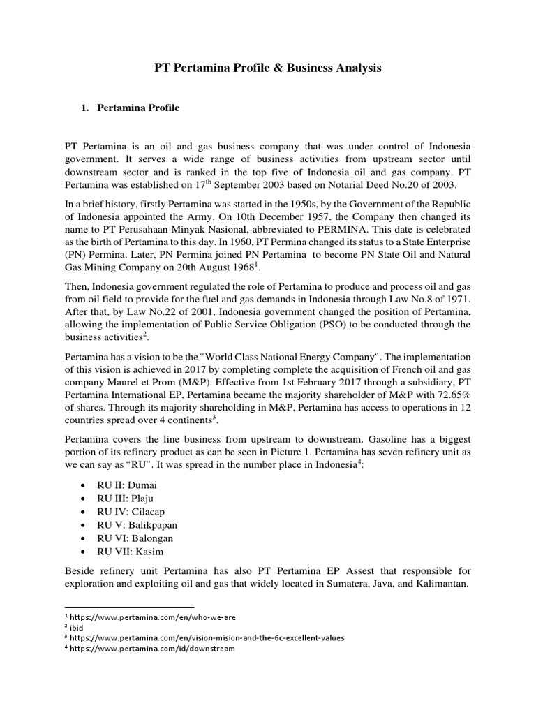 PT Pertamina Profile & Analysis | PDF | Hydrocarbons | Petroleum Industry