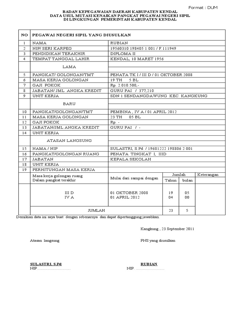 Format DUM | PDF
