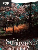Encuentro Padre Ignacio Larrañaga 1 | PDF