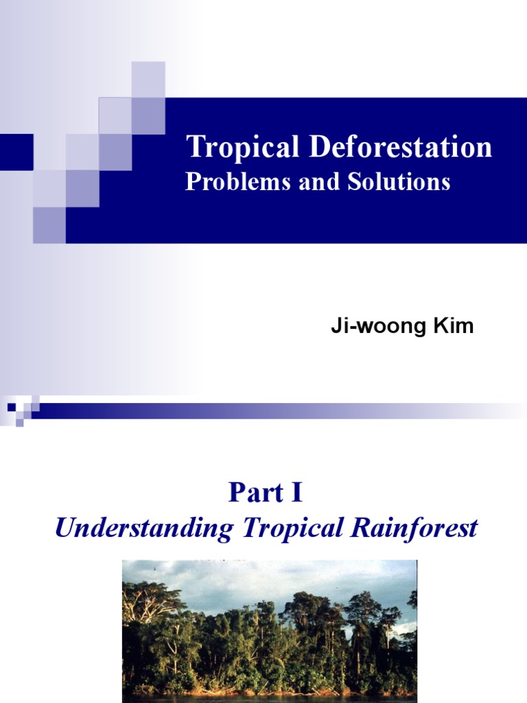 Tropical Deforestation: Problems and Solutions | PDF | Deforestation ...