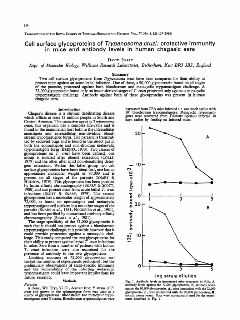 1983 Snary | PDF | Antibody | Infection