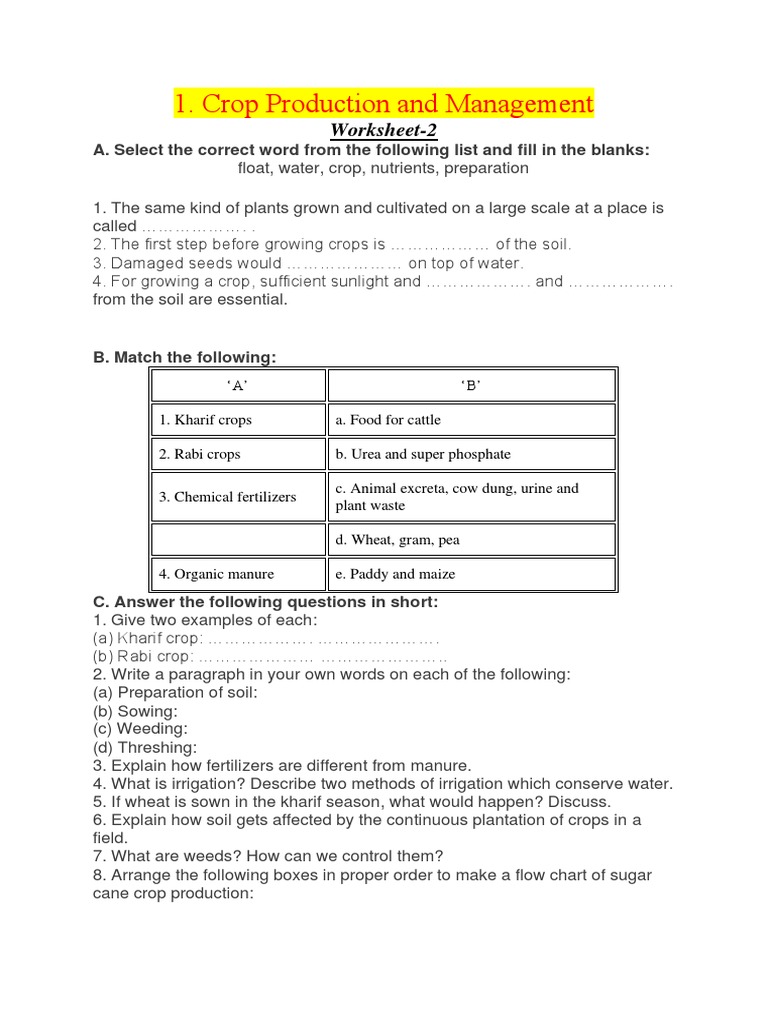 Worksheet STD 8 Science | PDF | Wheat | Crop Rotation