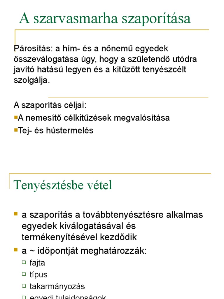 A Szarvasmarha Szaporitasa | PDF