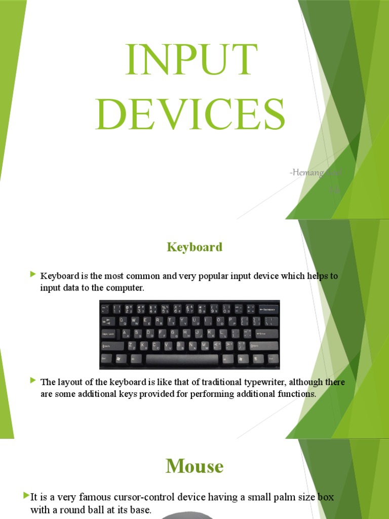Common Computer Input Devices | PDF