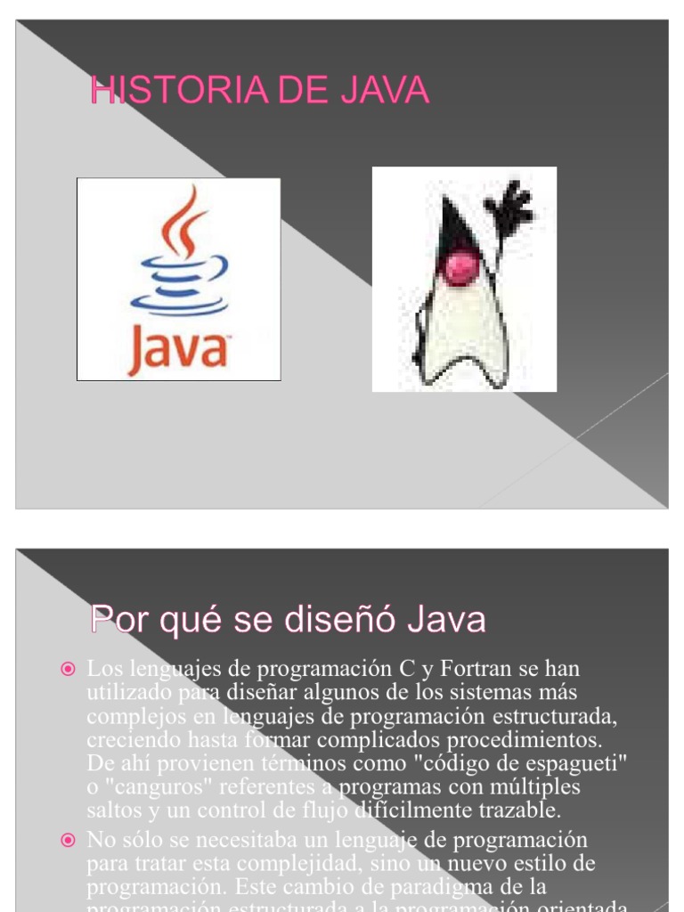 Historia de Java | PDF | Java (lenguaje de programación) | Programación ...