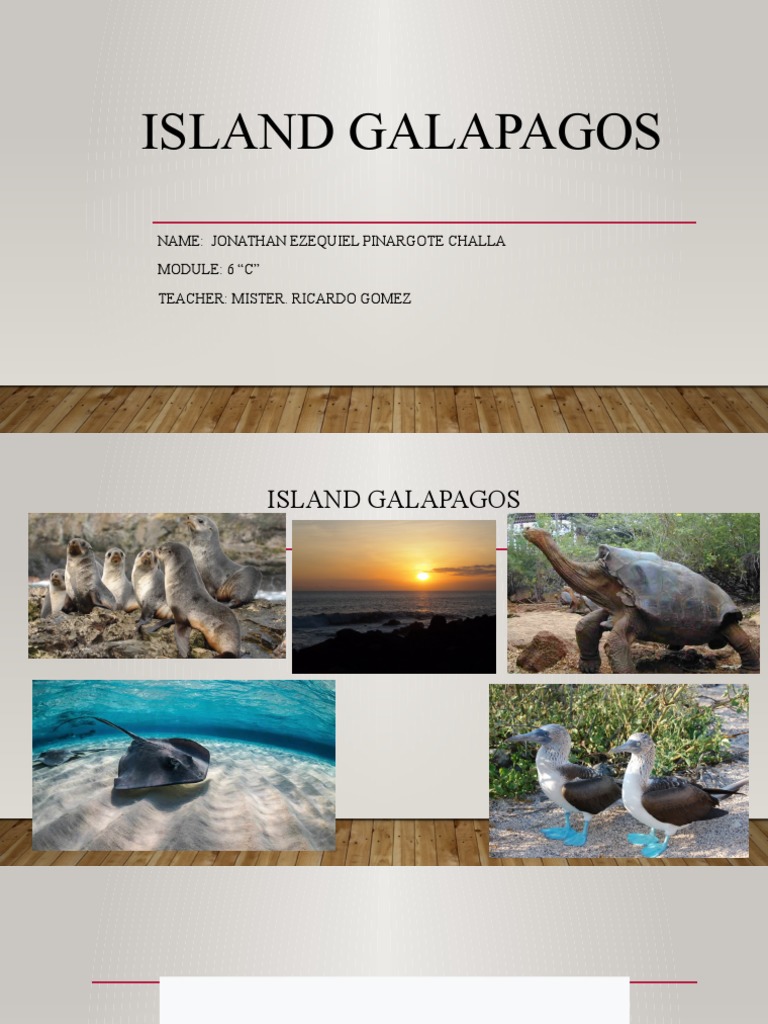 Exploring the Galapagos Islands | PDF