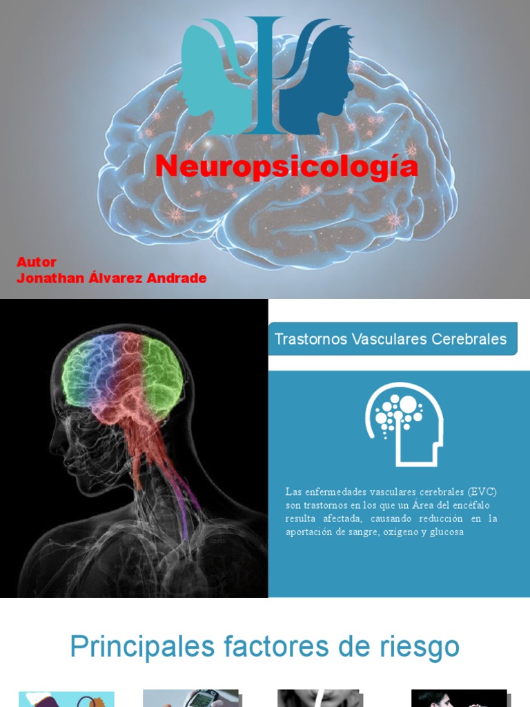 Neuropsicologia Trastornos Vasculares Cerebrales | PDF | Isquemia | Carrera