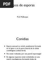 Conidios: Dispersión y Morfogénesis | PDF | Morfogénesis | Hongo