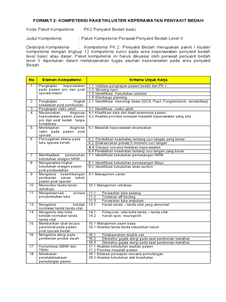 Format 2 Kompetensi Paketkluster Keperawatan Penyakit Bedah | PDF