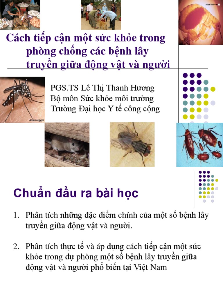 Zoonosis and Vector Borne Diseases-1 | PDF