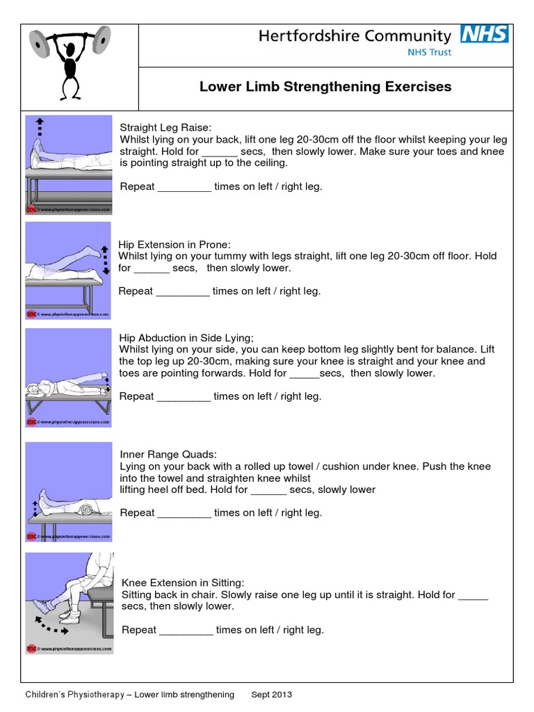 Pediatric Lower Limb Strengthening Exercises | PDF | Anatomical Terms ...