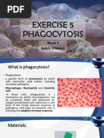 Fecalysis Test Procedures and Results | PDF | Human Feces | Diarrhea