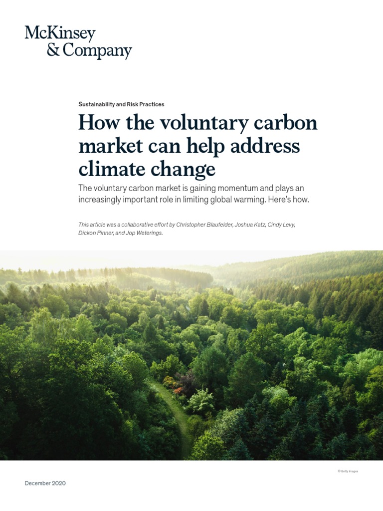 How The Voluntary Carbon Market Can Help Address Climate Change | PDF ...