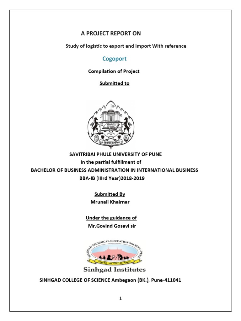 Marketing Project TYBBA IB | PDF | Logistics | Service Industries