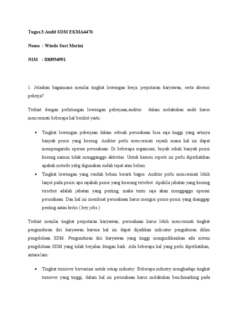 Tugas.3 Audit SDM | PDF