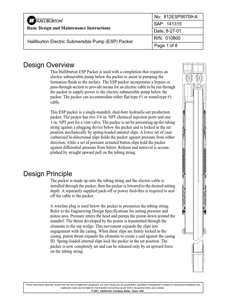 Electric Submersible Pump (ESP) Packer | PDF | Casing (Borehole) | Pump