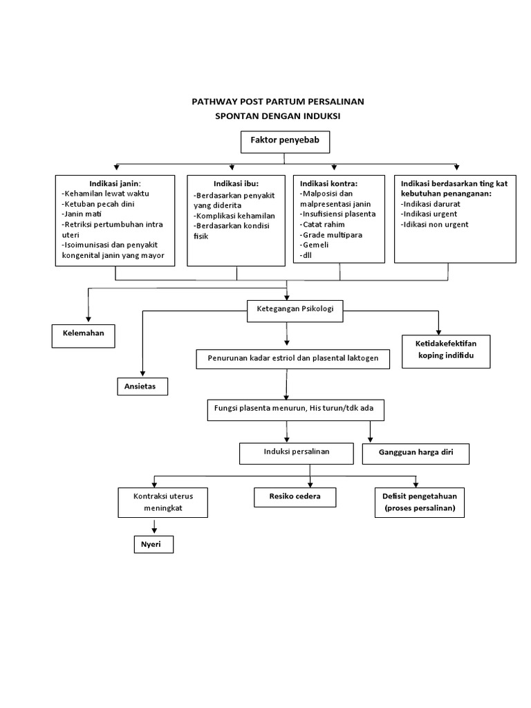 1 Pathway Post Partum Induksi | PDF