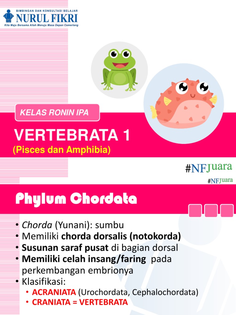 Vertebrata 1: (Pisces Dan Amphibia) | PDF