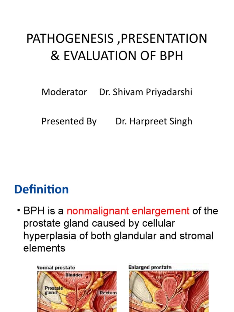 BPH - Pathophysiology and Evaluation | PDF | Prostate | Urinary Bladder