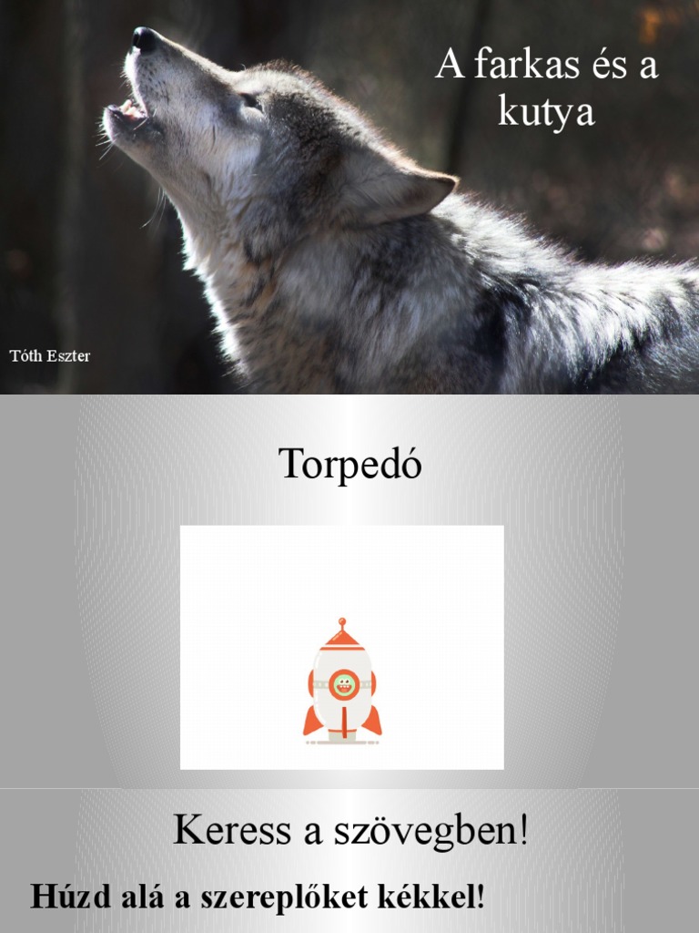 A Farkas És A Kutya | PDF