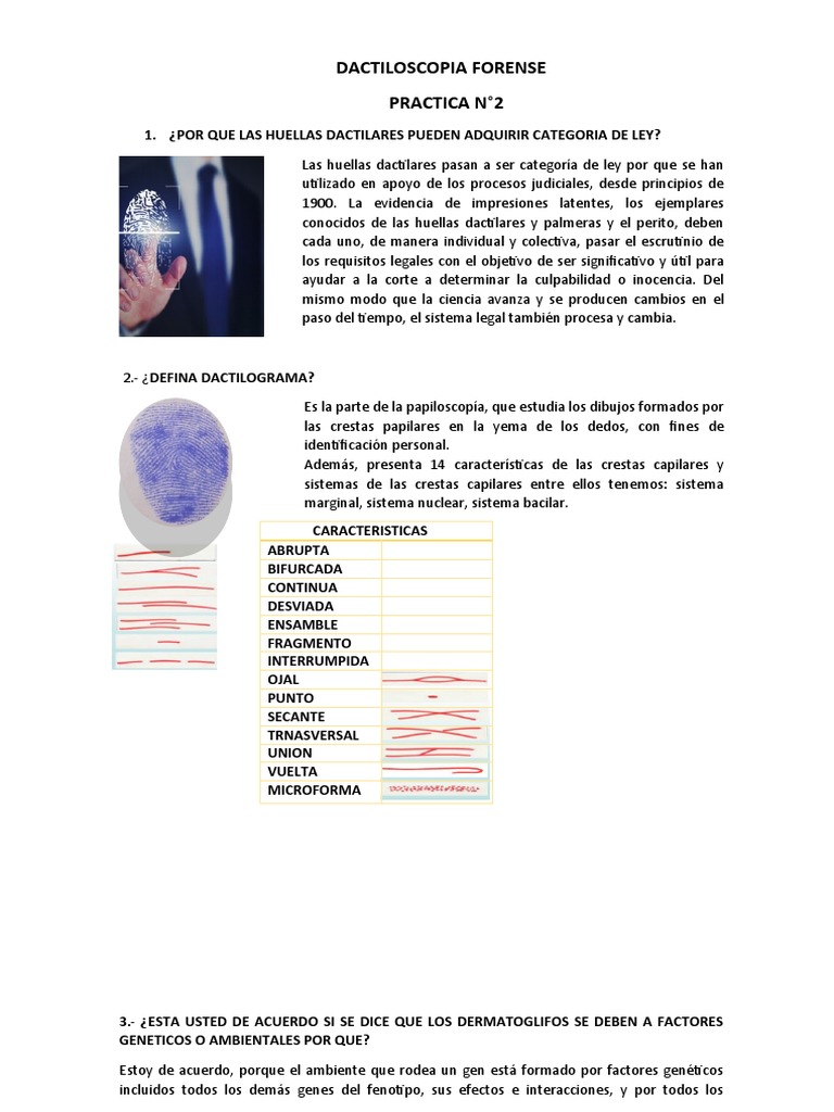 Dactiloscopia Forense: Fundamentos y Práctica | PDF | Huella dactilar ...