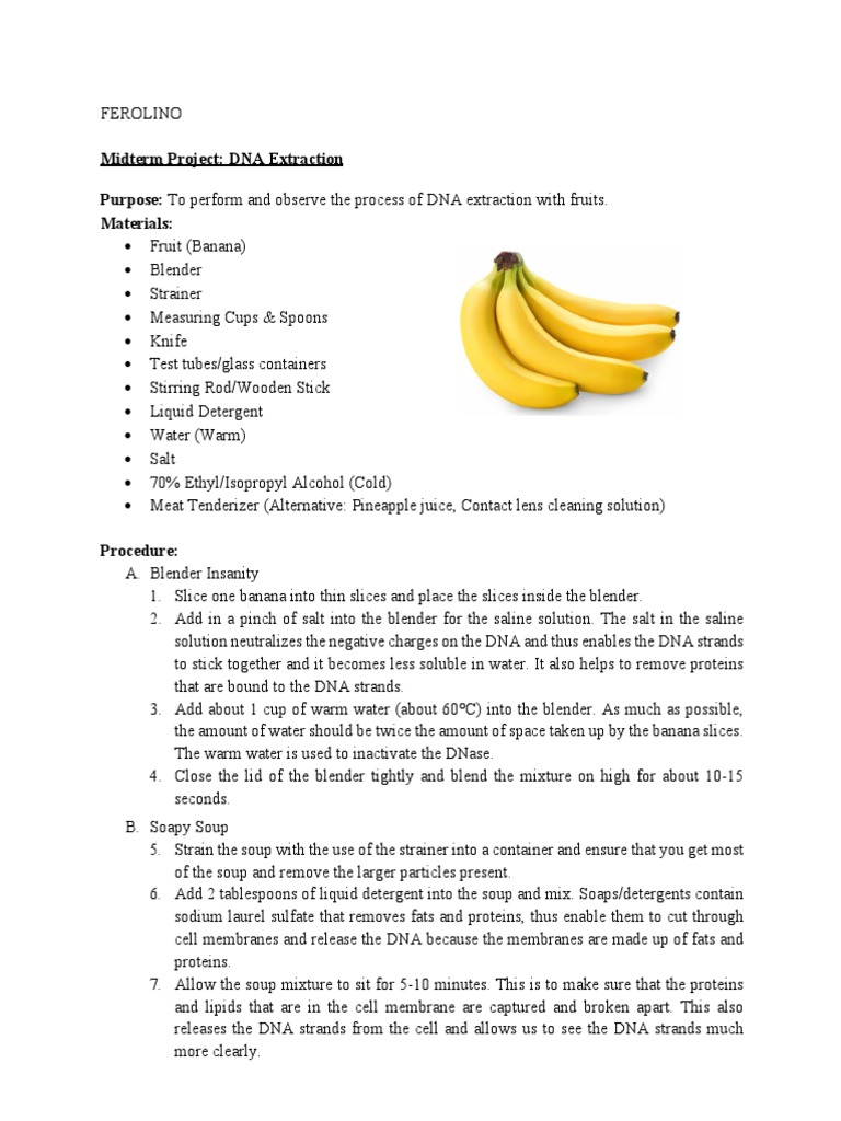 DNA Extraction On Banana Experiment | PDF | Ethanol | Blender