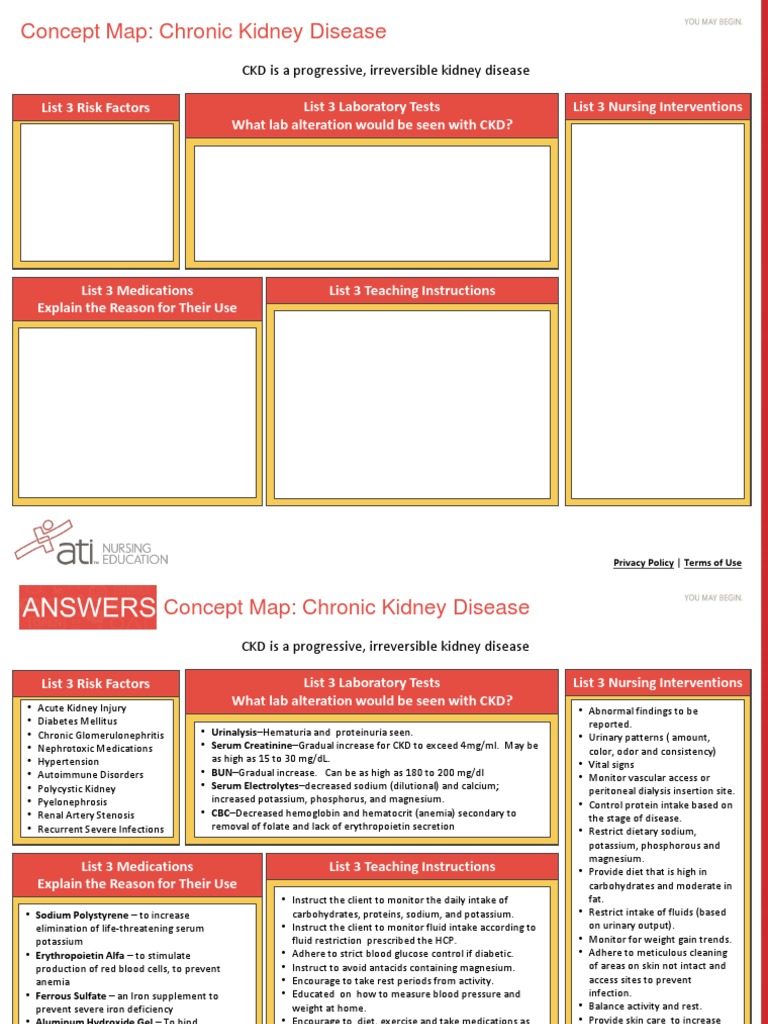 CKD Concept Map: Risks, Tests, Treatments | PDF | Chronic Kidney ...