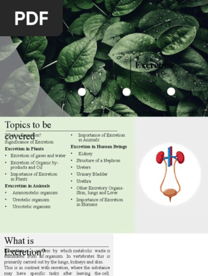 Excretion In Plants
