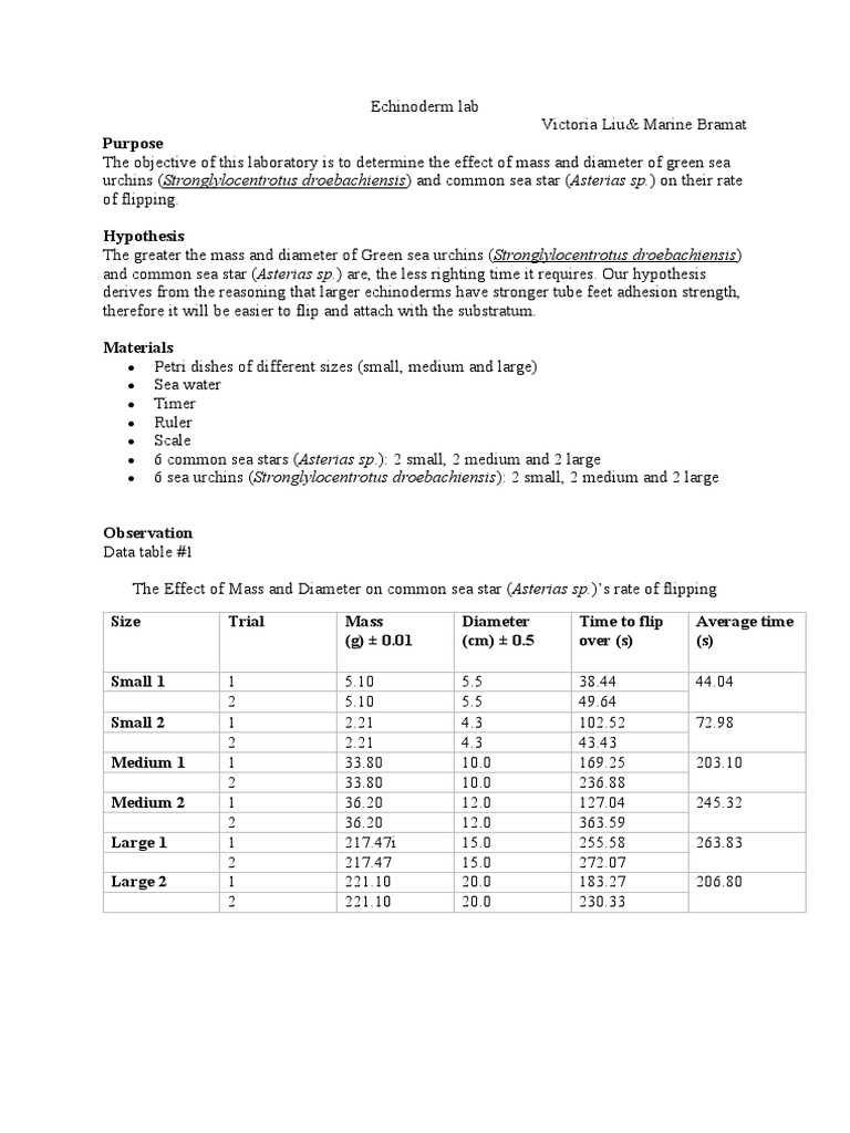 Echinoderm Lab Report | PDF | Sea | Stars