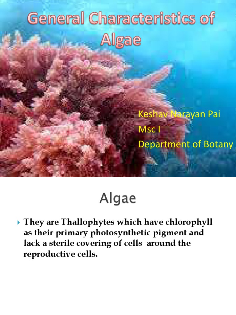General Characteristics of Algae | PDF | Algae | Cell (Biology)