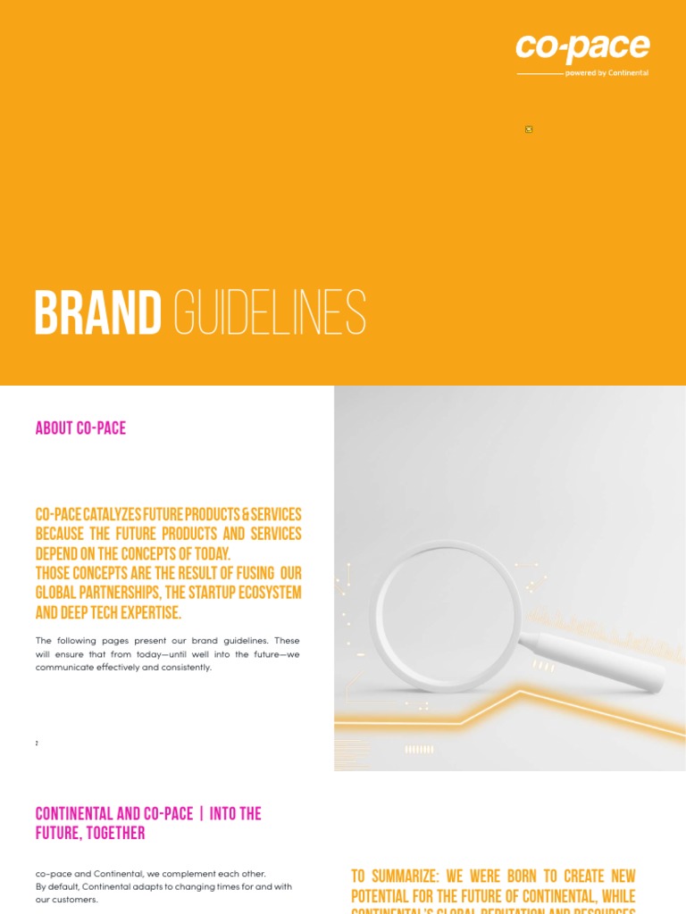 210319CO-PACE Brand Guidelines | PDF | Brand | Typefaces