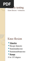 Manual Muscle Testing Grades 3-5 Summary | PDF | Anatomical Terms Of ...
