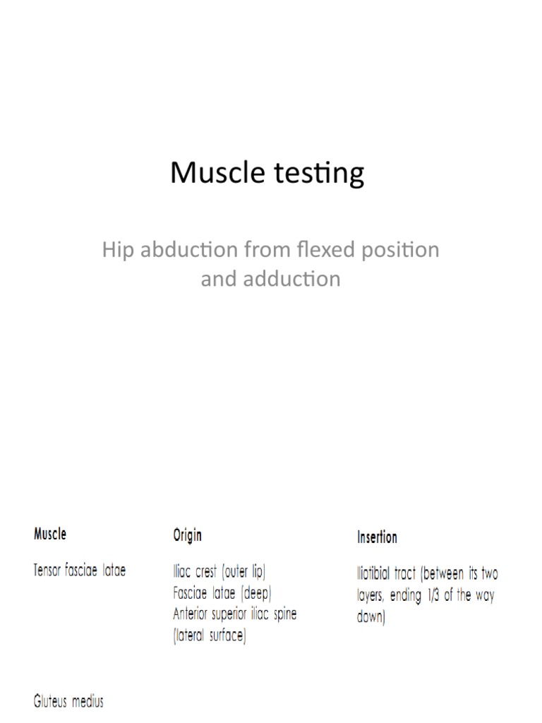 Muscle Testing TFL+ Adduction | PDF | Anatomical Terms Of Motion | Hip