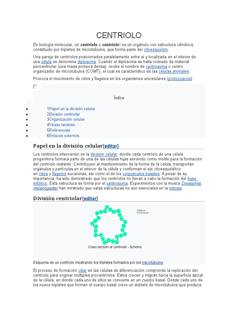 CENTRIOLO | PDF | Biología Celular | Anatomía Celular