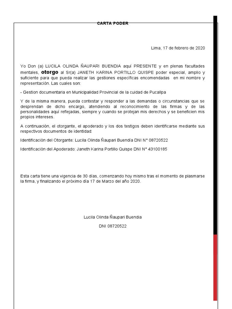 Carta Poder Simple | PDF
