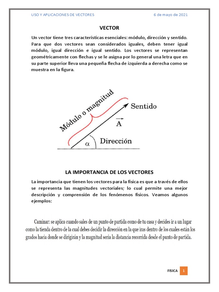 Uso y Aplicaciones de Vectores | PDF | Tecnología