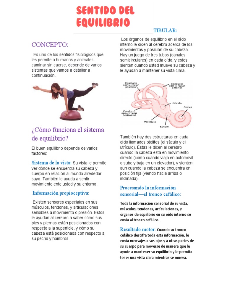 Sentido Del Equilibrio | PDF