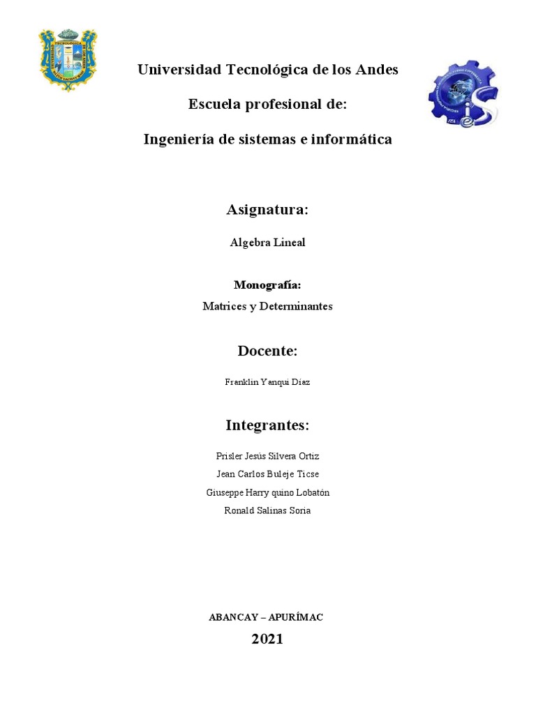 Algebra Lineal Matrices y Determinantes | PDF | Determinante | Matriz ...