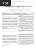 Oxonia Active 150 Ecolab Ficha Técnica | PDF | Quemar | Cloro